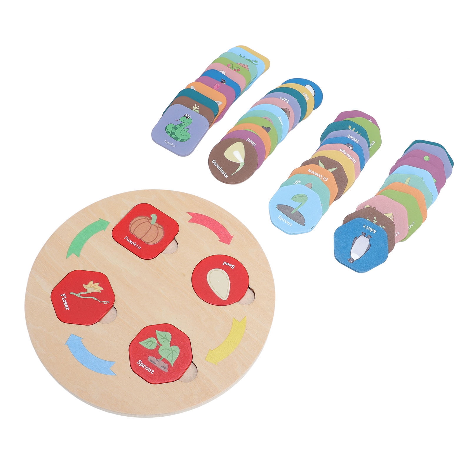 Click here for Fyydes Wooden Life Cycle Toys  Animal Game Sorting... prices