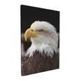 Bald Eagle Canvas Double Framed Wall Art Wildlife Patriotic American ...