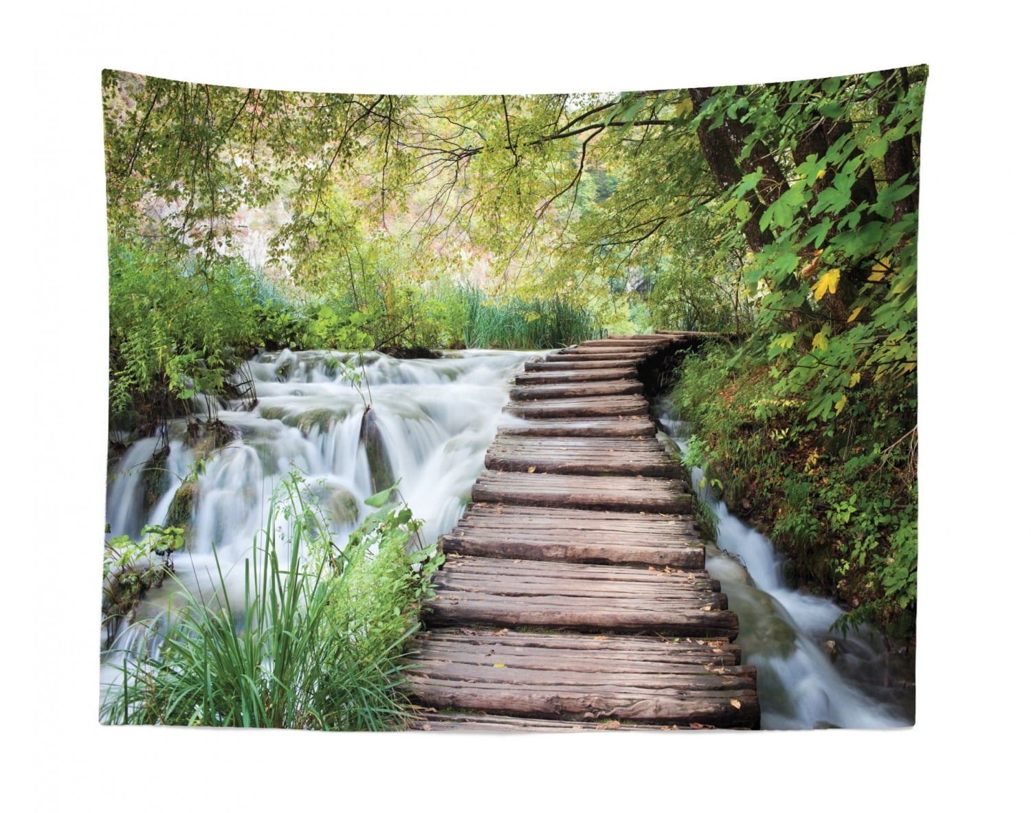 Nature Tapestry, Park Summertime Scenic View Environment Ecology Nature ...