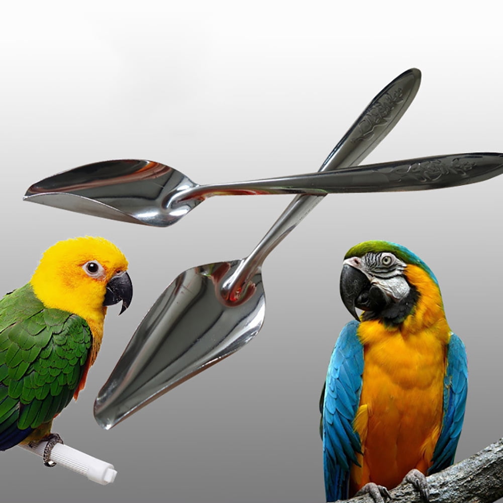 SPRING PARK 1Pc Bird Parrot Feeding Spoon Stainless Steel Water Milk ...