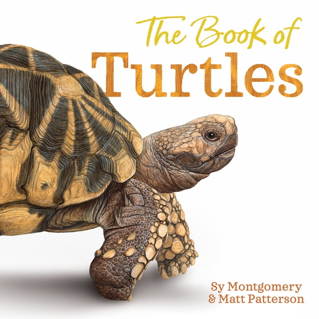 The Book of Turtles (Hardcover) - Walmart.com