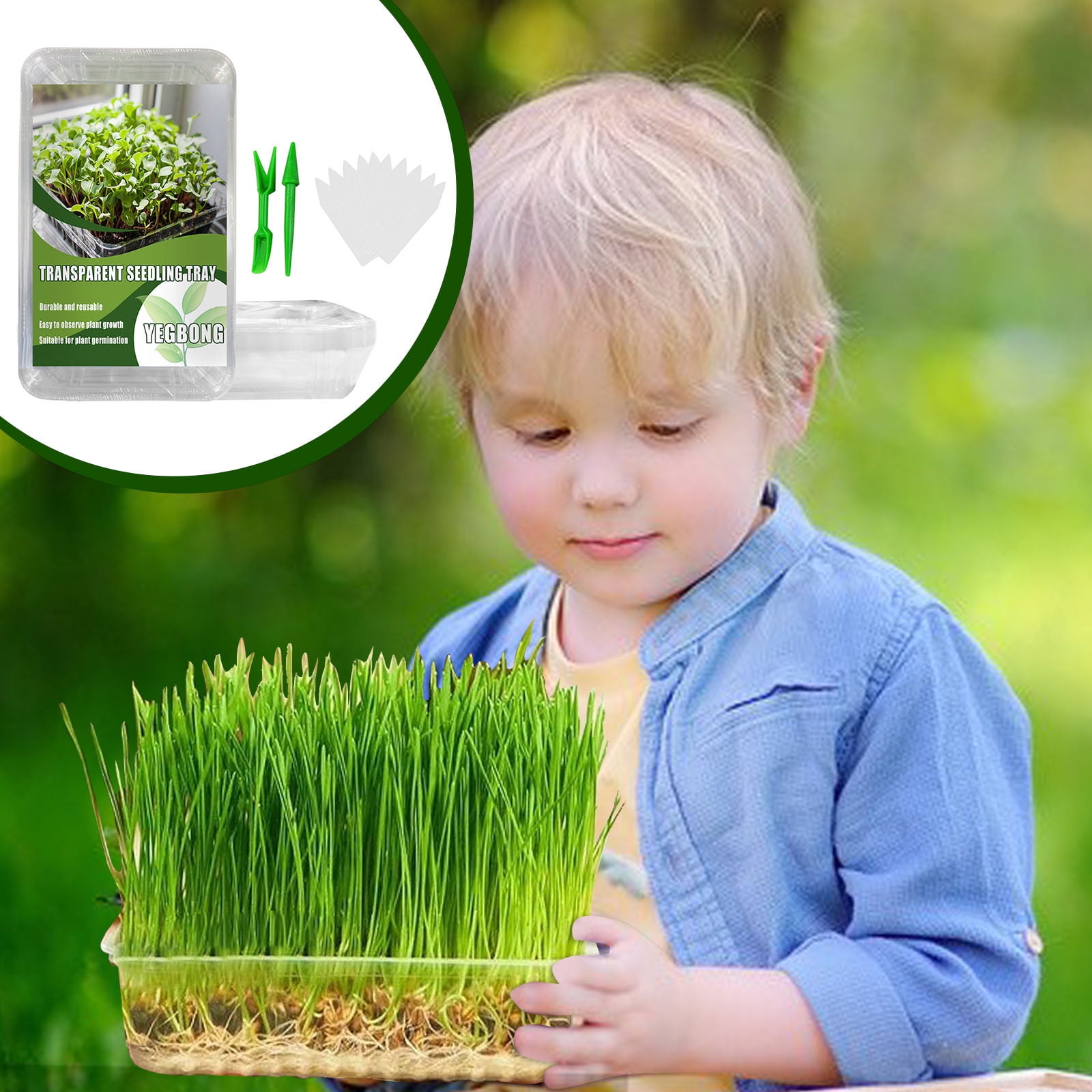 Indoor Propagation Box Greenhouse Propagation Transparent Plastic Indoor Propagation Box Greenhouse Propagation Transparent Plastic