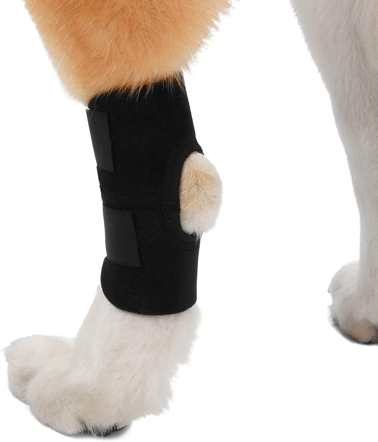 Soporte para patas de perro - Protección del codo - Vendaje protector ...