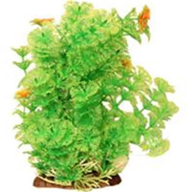 62229 12 in. Bushy Ambulia Aquarium Plant, Green - Walmart.com