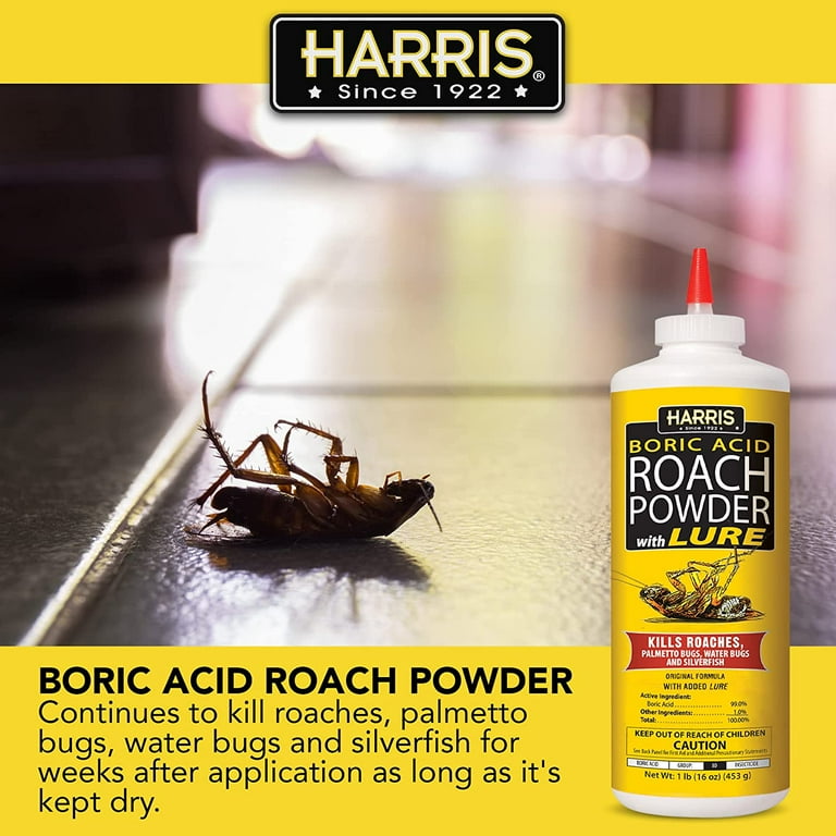 Best roach killer on the market store