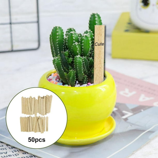 Plant Labels Wooden Tags Set Flowers Potted Nursery Garden Stake Note ...