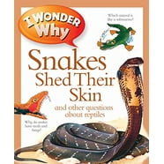 Python Projects (Paperback) - Walmart.com