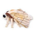 Silk Moth Plush Toy, Realistic Silk Moth Stuffed Animal Plush Toy Cute ...