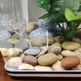 Natural River Rocks-20 lbs of Pebbles and River Stones,2-3 Inch Plant ...