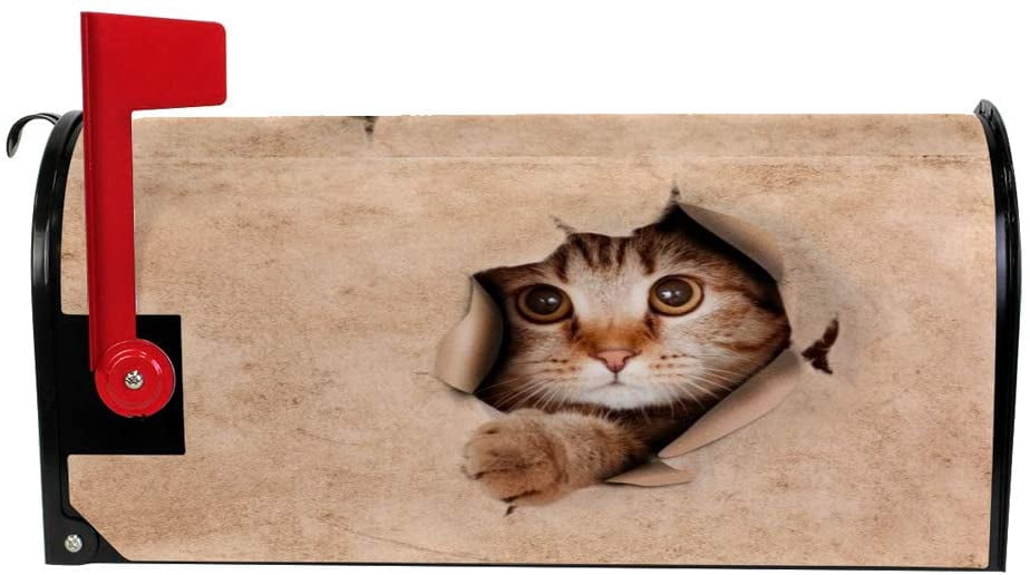 Cute Mail Box