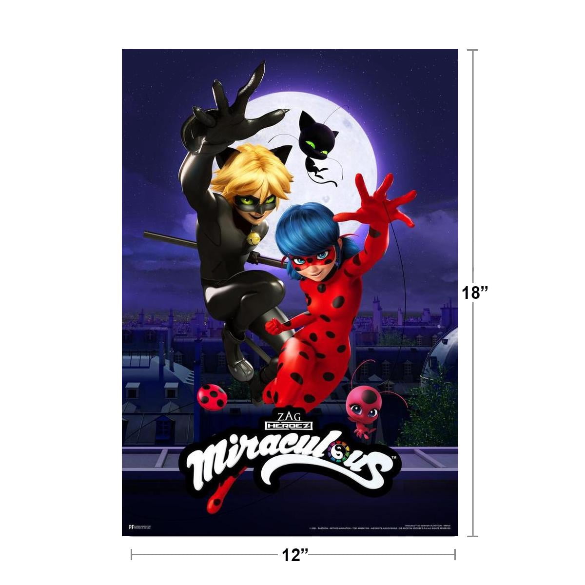 Miraculous Ladybug and Cat Noir Team Up Poster - Dominica | Ubuy