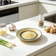 Ceramic Ginger Grater Plate, Food-Grade Garlic & Spice Grinding Dish ...