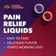 Vicks PainQuil Pain Relief Liquid, Acetaminophen, 1000mg, 12 fl. oz ...