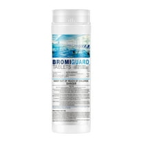 Clorox Spa Brominating Granules - Walmart.com