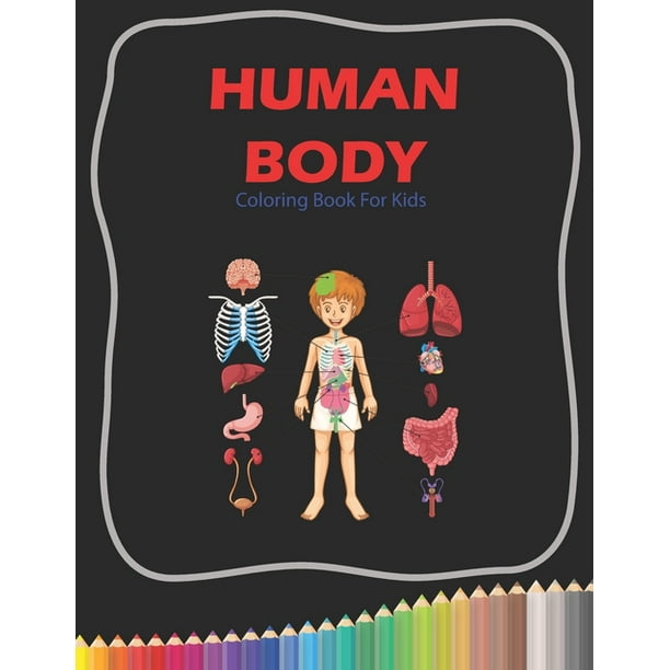 Human Organ Map