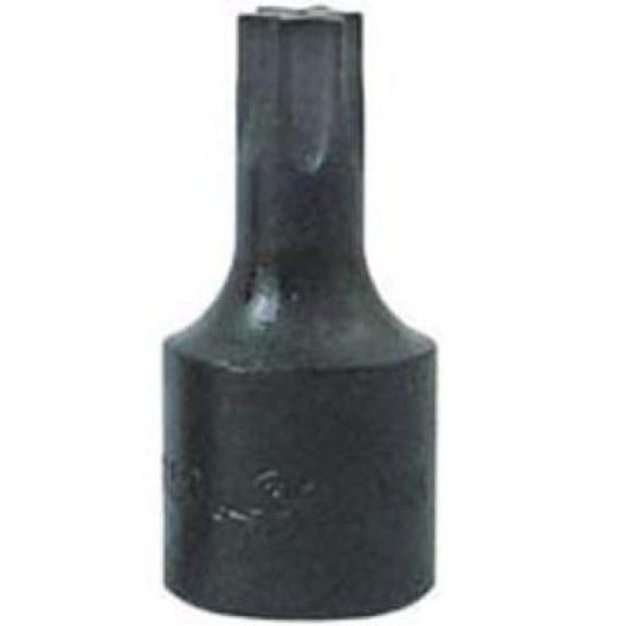 T20 Torx Bit