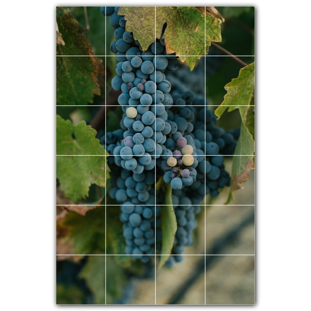 Picture-Tiles.com: Wine Ceramic Tile Wall Mural WAL501206-46XL. 48"W x ...