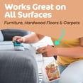 Sunny&Honey Pet Stain & Odor Miracle - Enzyme Cleaner for Floor ...