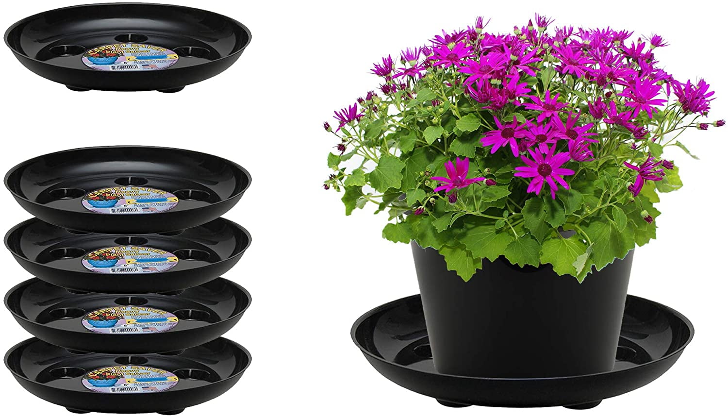 Curtis Wagner Plastics DS-1000B Carpet Saver Plant Tray Drip Pans (5 ...