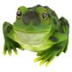 Design Toscano Ribbit the Frog Garden Toad Statues, 9 Inch, Set of Two ...