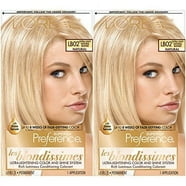 L'Oreal Excellence HiColor Blacks H21 Black Onyx 1.74 oz, Pack of 1, 12 ...