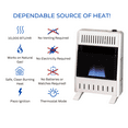 Procom Indoor Use Natural Gas Ventless Blue Flame Heater, Wall Mount ...