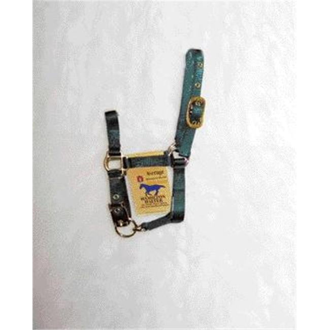 Hamilton Halter Company - Adjustable Miniature Halter- Hunter Green ...