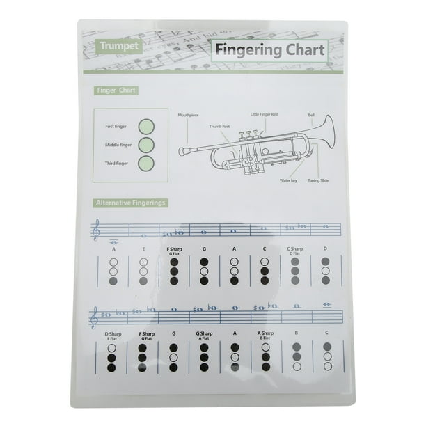 Trumpet Chart,Trumpet Chord Chart Fingering Trumpet Chord Chart Trumpet ...
