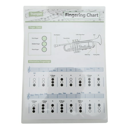Trumpets Note Guide, Art Paper Trumpet Chord Chart Fingering Practice ...