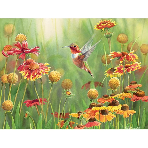 Cobble Hill Rufous Hummingbird 500 Piece Jigsaw Puzzle - Walmart.com ... Cobble Hill Rufous Hummingbird 500 Piece Jigsaw Puzzle - Walmart.com ...