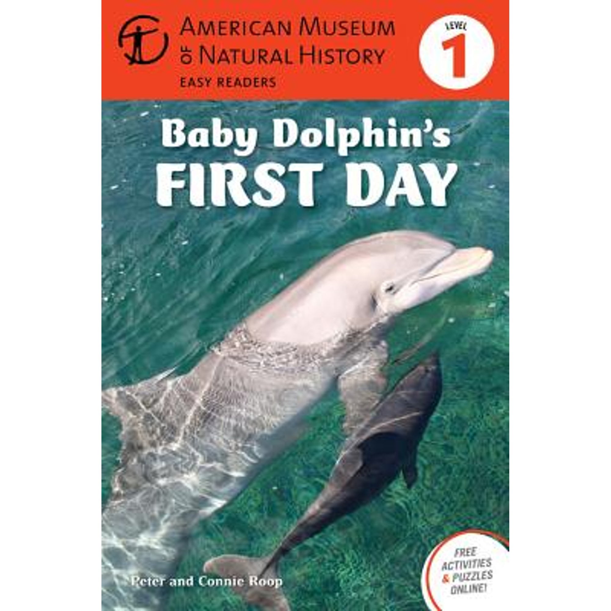 Baby Dolphin's First Day (Hardcover) by Peter Roop, Connie Roop ...