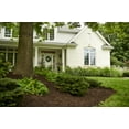 Hyponex by Scotts Brown Mulch, 2 cu. ft., Provides Year-Long Color ...