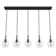 Hunter Maple Park Noble Bronze with Clear Glass 5 Light Linear Cluster ...