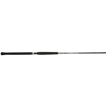 BnM Sam Heaton Super-Sensitive Series Pole 7ft 2pc Spin - Walmart.com