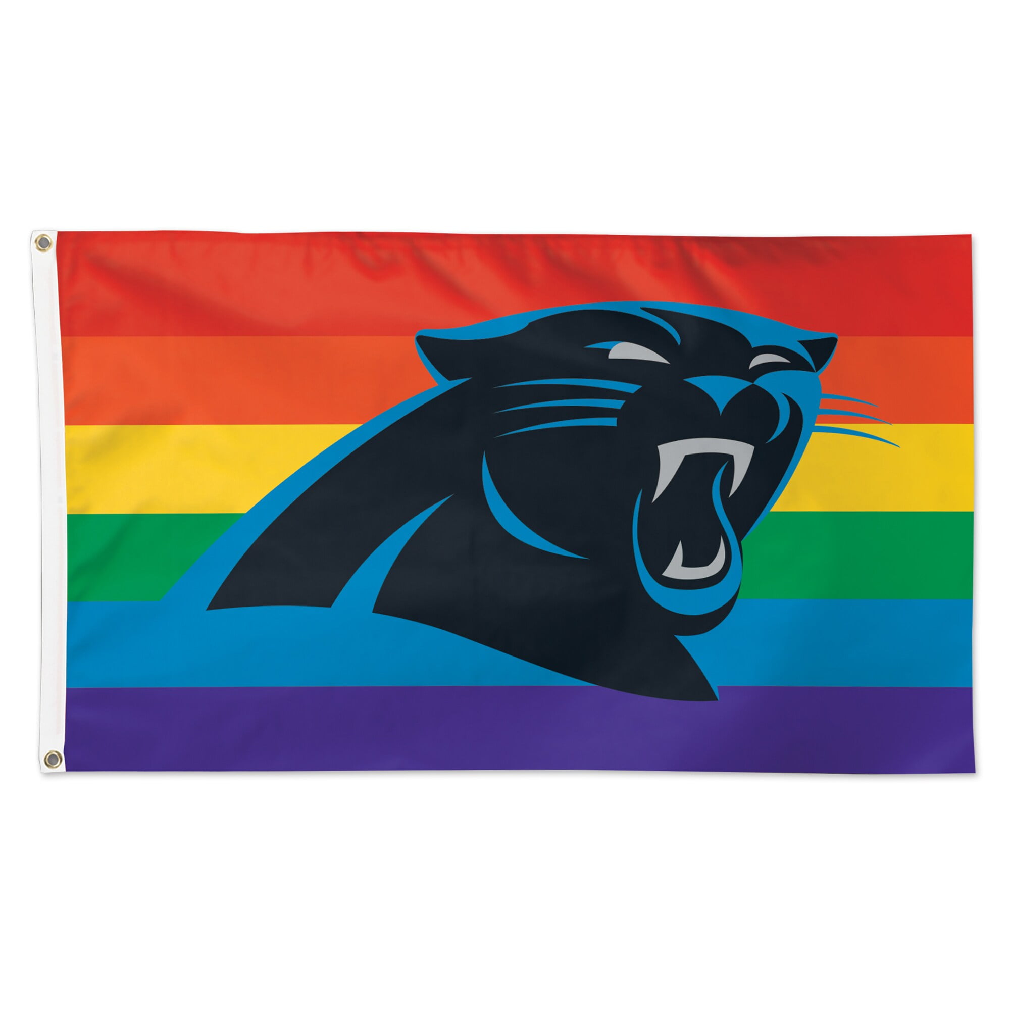 Carolina Panthers Printable Banner