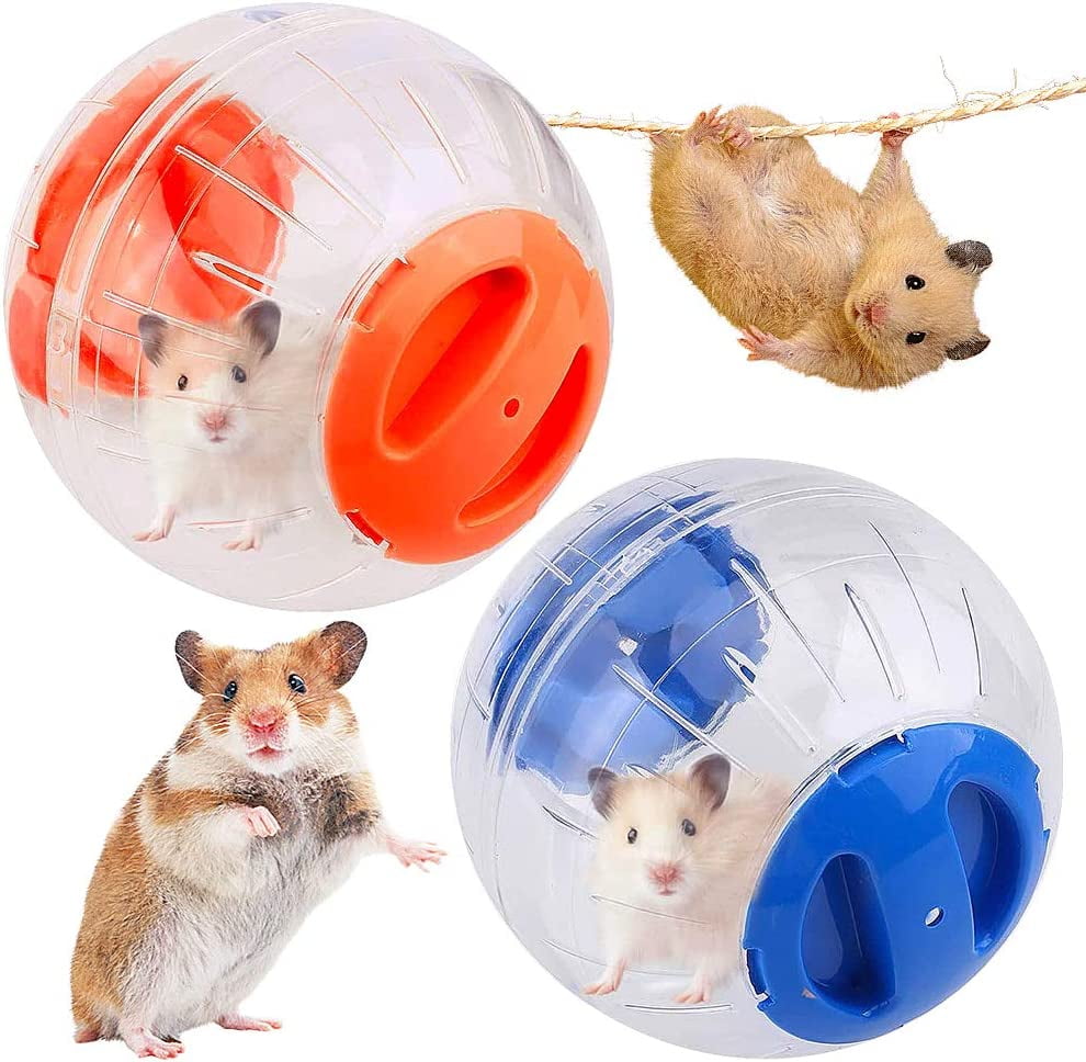 Dwarf Hamster Ball