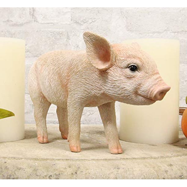 Adorable Realistic Animal Farm Babe Piglet Pig Statue 8"L Rustic ...