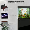 Aqua Dream 40 Gallon All-in-One Fish Tank Starter Kit, Black Tempered ...