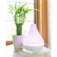 Free Shipping! Crane Cone Shape Ultrasonic Cool Mist Aroma Diffuser ...