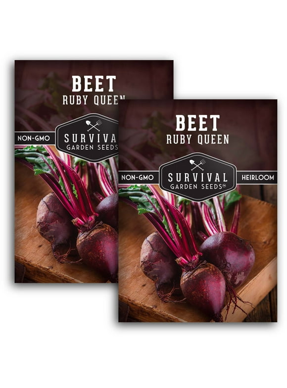Beet Seeds in Seed Gardening - Walmart.com