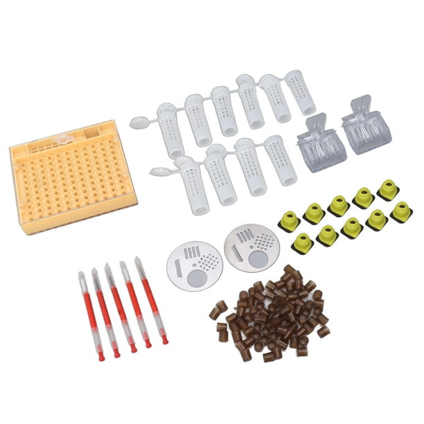 Queen Bee Rearing Box, Healthy Queen Bee Rearing Kit For Apiculture ...