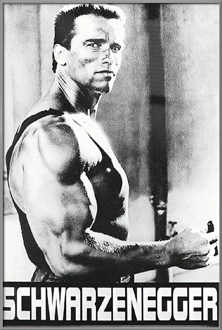 Arnold Schwarzenegger - Framed Movie / Personality Poster (Arnie With ...