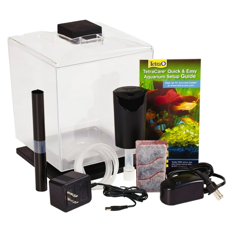 Glofish Gallon Tank Setup | 7petals.in
