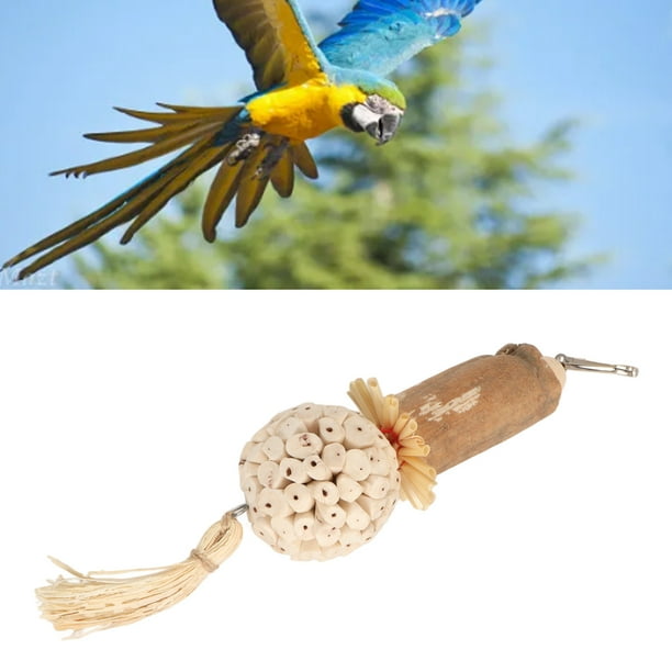 Sola Stick Bird Toys, Fun Chew Toys Interactive For Conure For Budgie ...