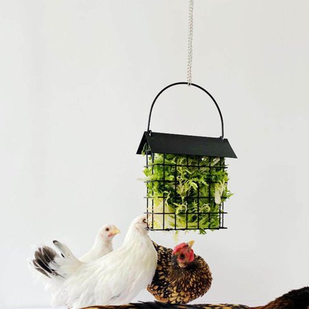 facefd Hanging Feeder for Hens Chicken Suet Cage Holder for Cabbage ...