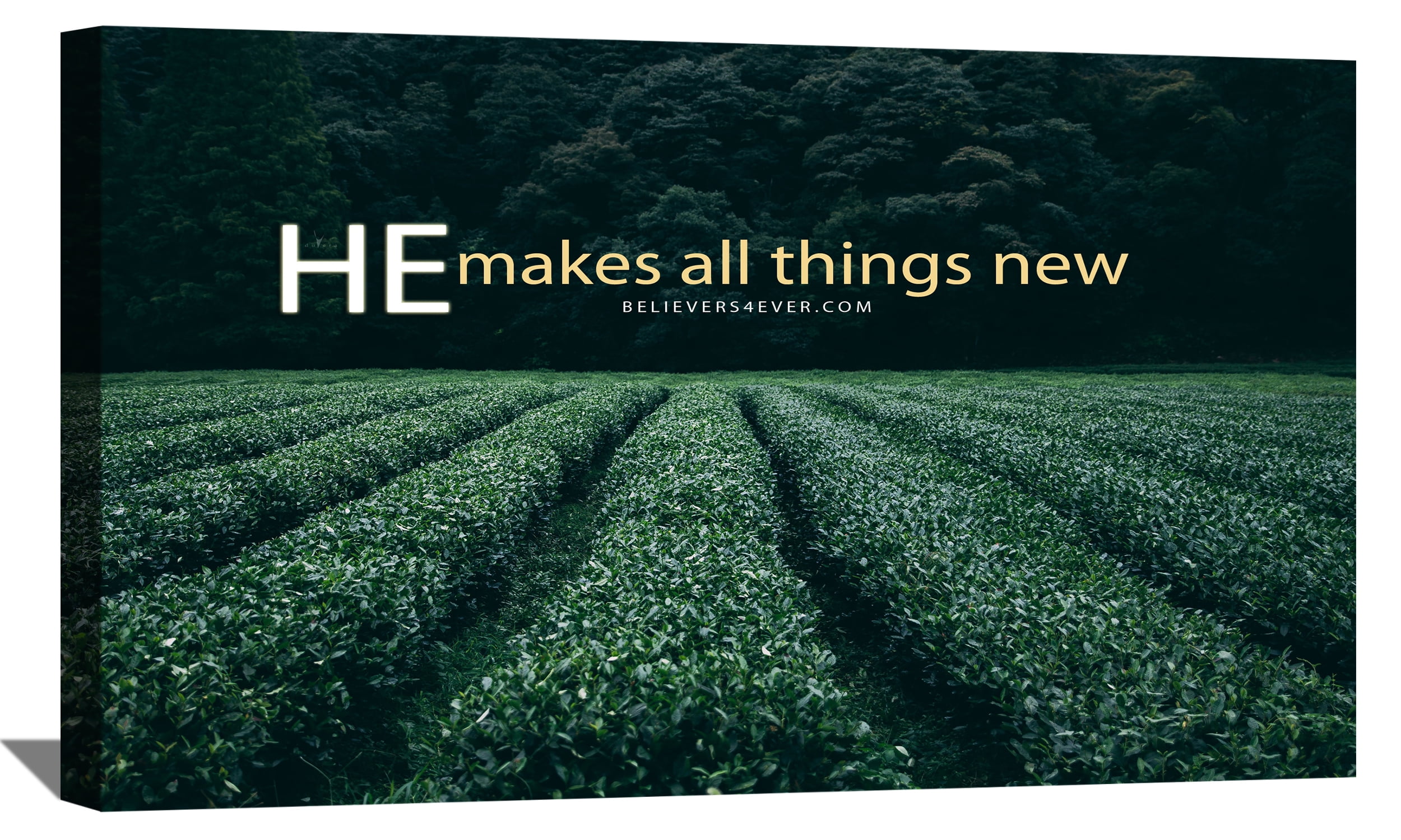 He Makes All Things New Inspirational Christian Artwok Bible Verse ...