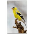 Picture-Tiles.com: Bird Ceramic Tile Wall Mural WAL500167-35L. 24"W x ...