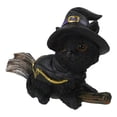 Halloween Black Cat with Witch Hat & Cape Flying On Magical Broomstick ...