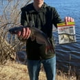 Magic Preserved Shad Bait 4 oz. – Natural Color - Walmart.com