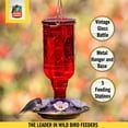 More Birds Red Jewel Glass Bottle Hummingbird Feeder, 20 oz Nectar ...